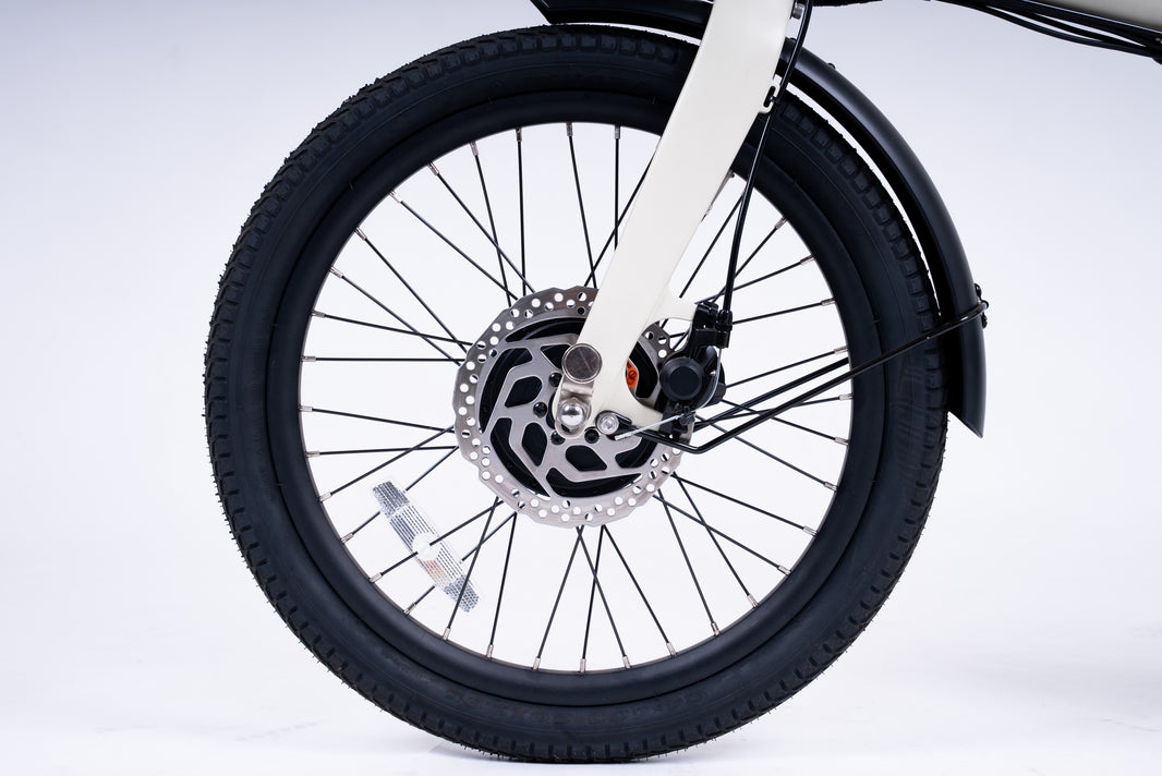 キャンペーン – VELMO